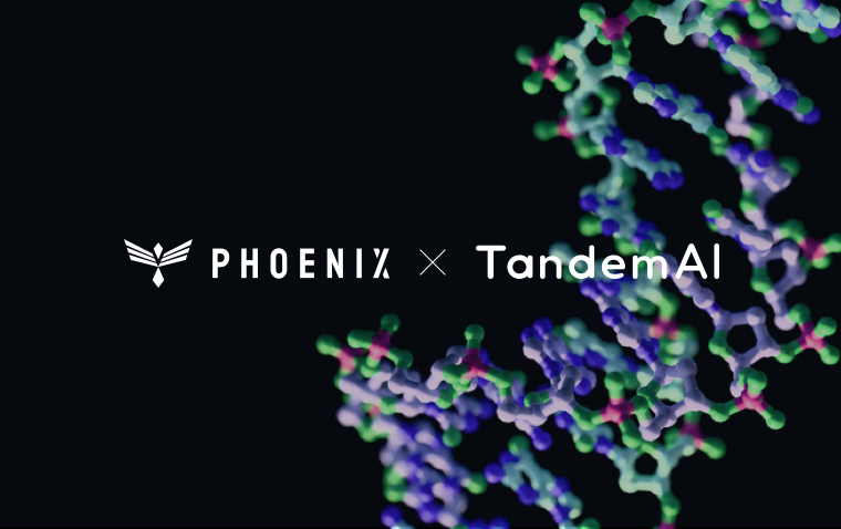 Phoenix | Infrastructure Empowering Decentralized AI