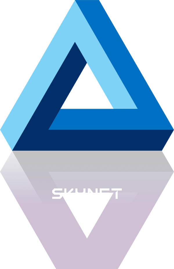 Phoenix | Infrastructure Empowering Decentralized AI