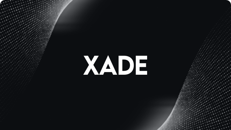 Phoenix | Infrastructure Empowering Decentralized AI